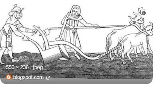 (853) foment: goadとKawasaki [FL 3; 534-319]: Lifelong Learner's Diary